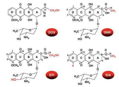 Anthracyclines - Antibiotic Drugs - AntiinfectiveMeds.com