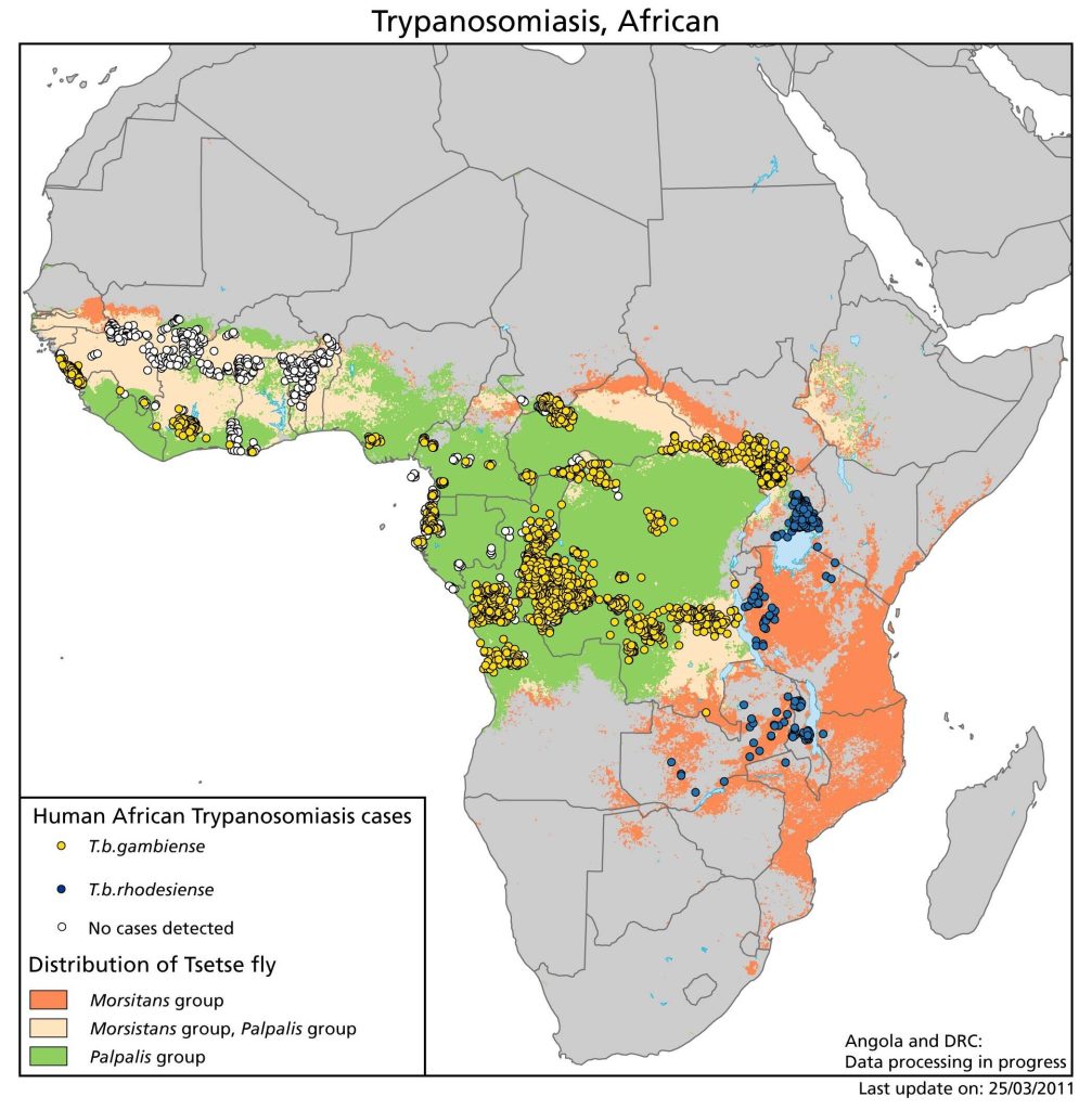 African Trypanosomiasis - Parasitic Infections - AntiinfectiveMeds.com