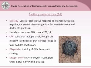 Bacillary Angiomatosis - Bacterial Infections - AntiinfectiveMeds.com