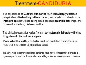Candiduria, Candida Cystitis & Urinary Tract Candidiasis - Fungal ...