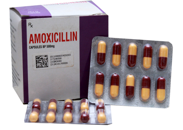Order Amoxil Amoxicillin Without Prescription 500mg Antibiotic 