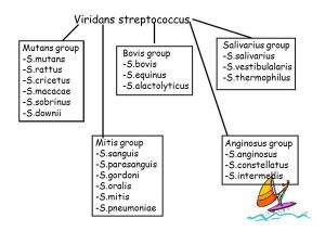 Viridans Group Streptococci: Clinical Syndromes - Bacterial Infections - AntiinfectiveMeds.com