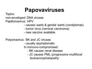 Papovaviruses - Viral Infections - AntiinfectiveMeds.com